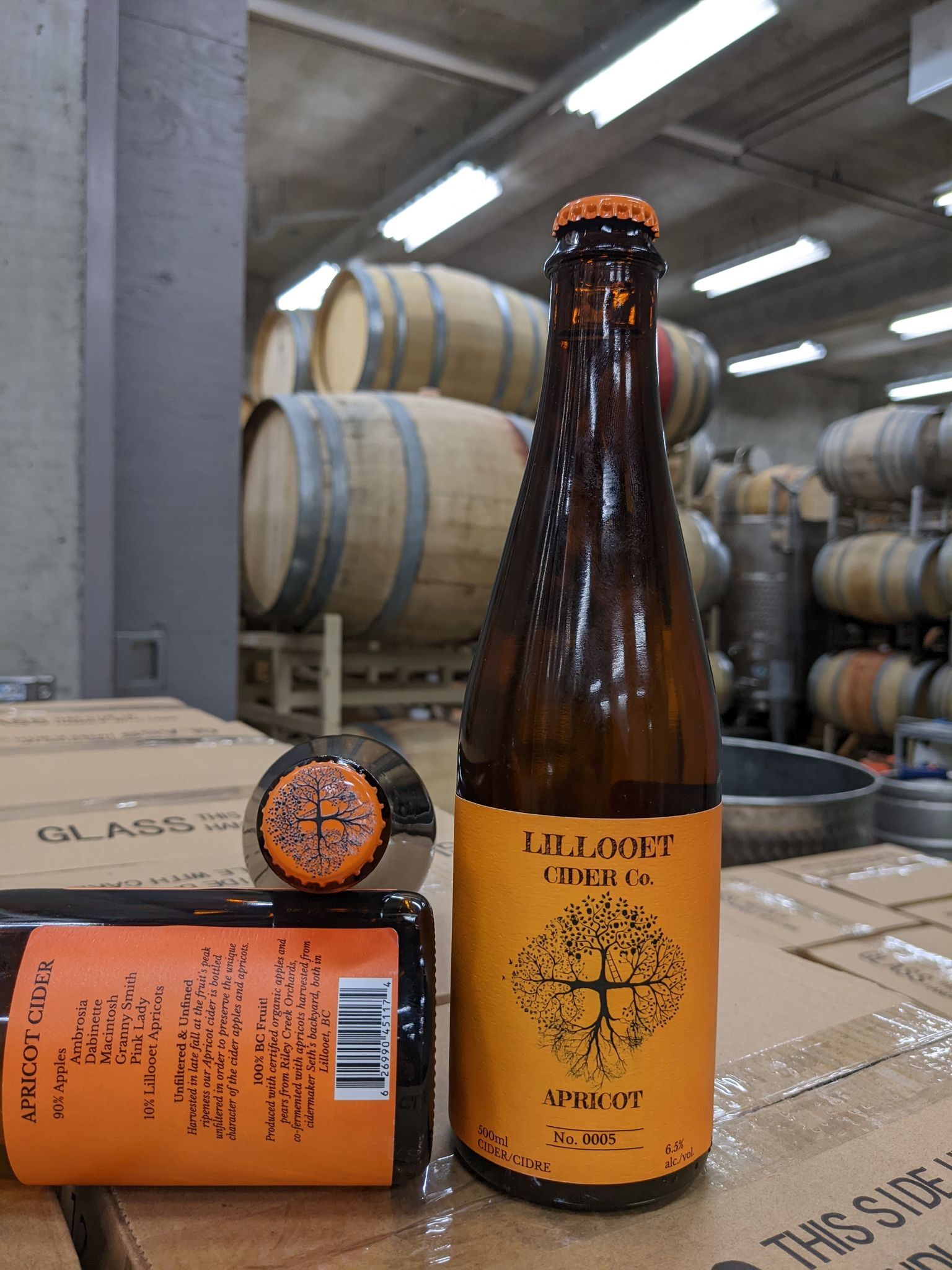 Apricot Cider 4-Pack | Lillooet Cider Co.